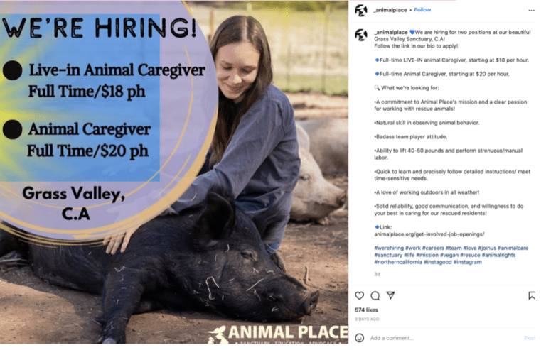 How to Post a Job on Instagram - GrabJobs